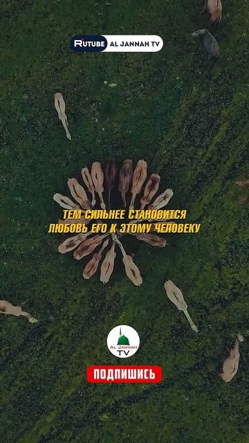 Секрет любви к Аллаху! Часть 3