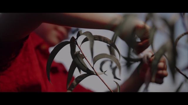 ☦️❤МЫТАРЬ!!!❤🕊️