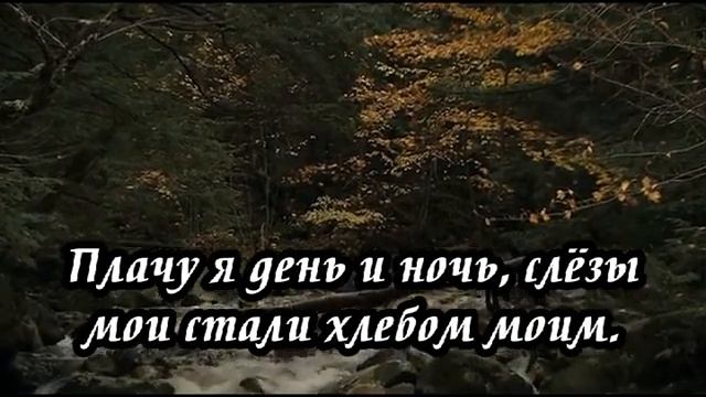 Ксения Лапицкая - Как лань желает(-)