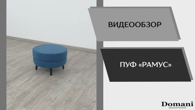 Видео обзор. Пуф Рамус.