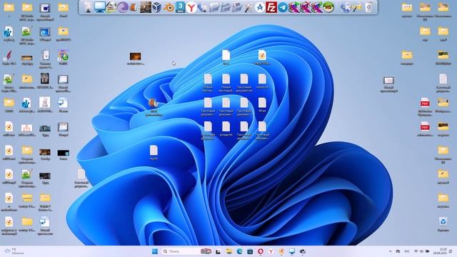 Программа дни рождения