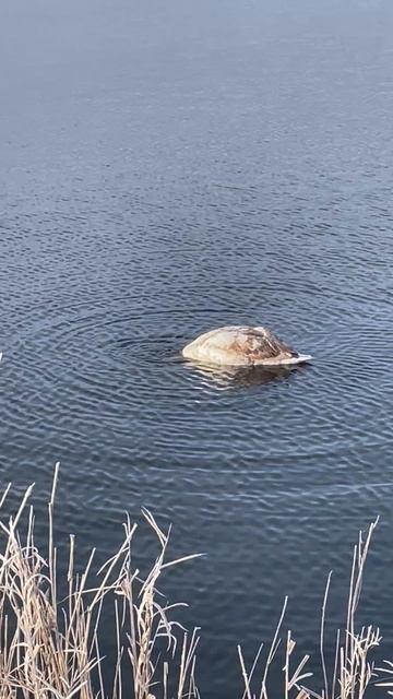 Тут завтракают!