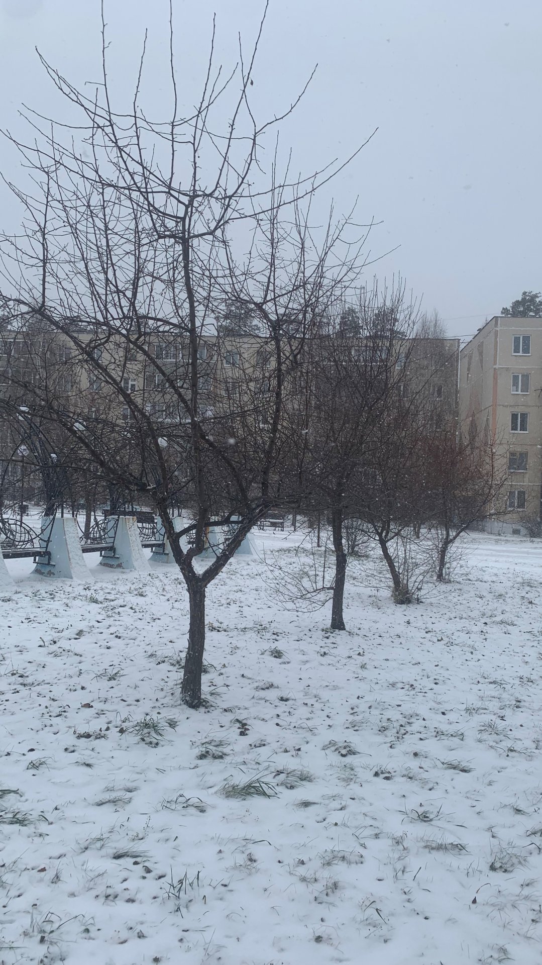 Пошли погулять с Лаки.🤭