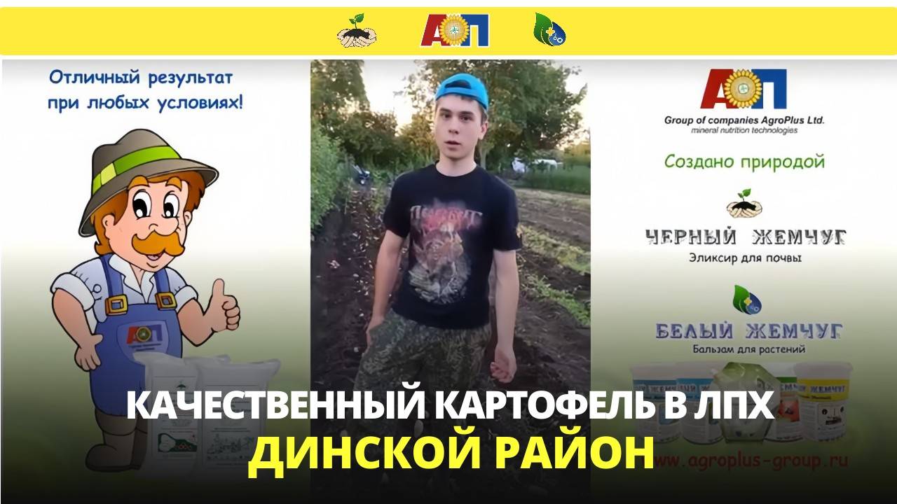 Отзыв о применении удобрений на картофеле в ЛПХ Динского района