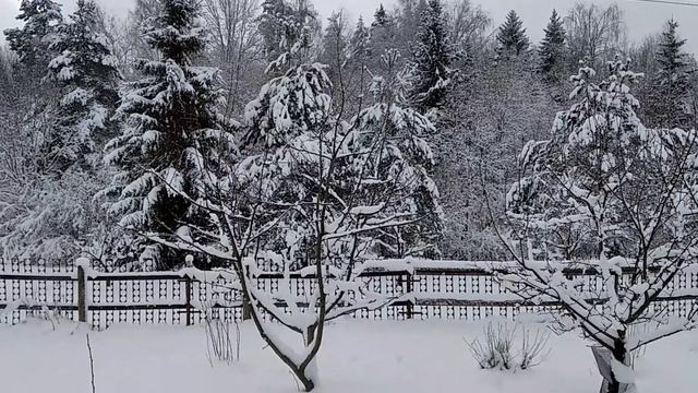 А я думала больше не будет зимы