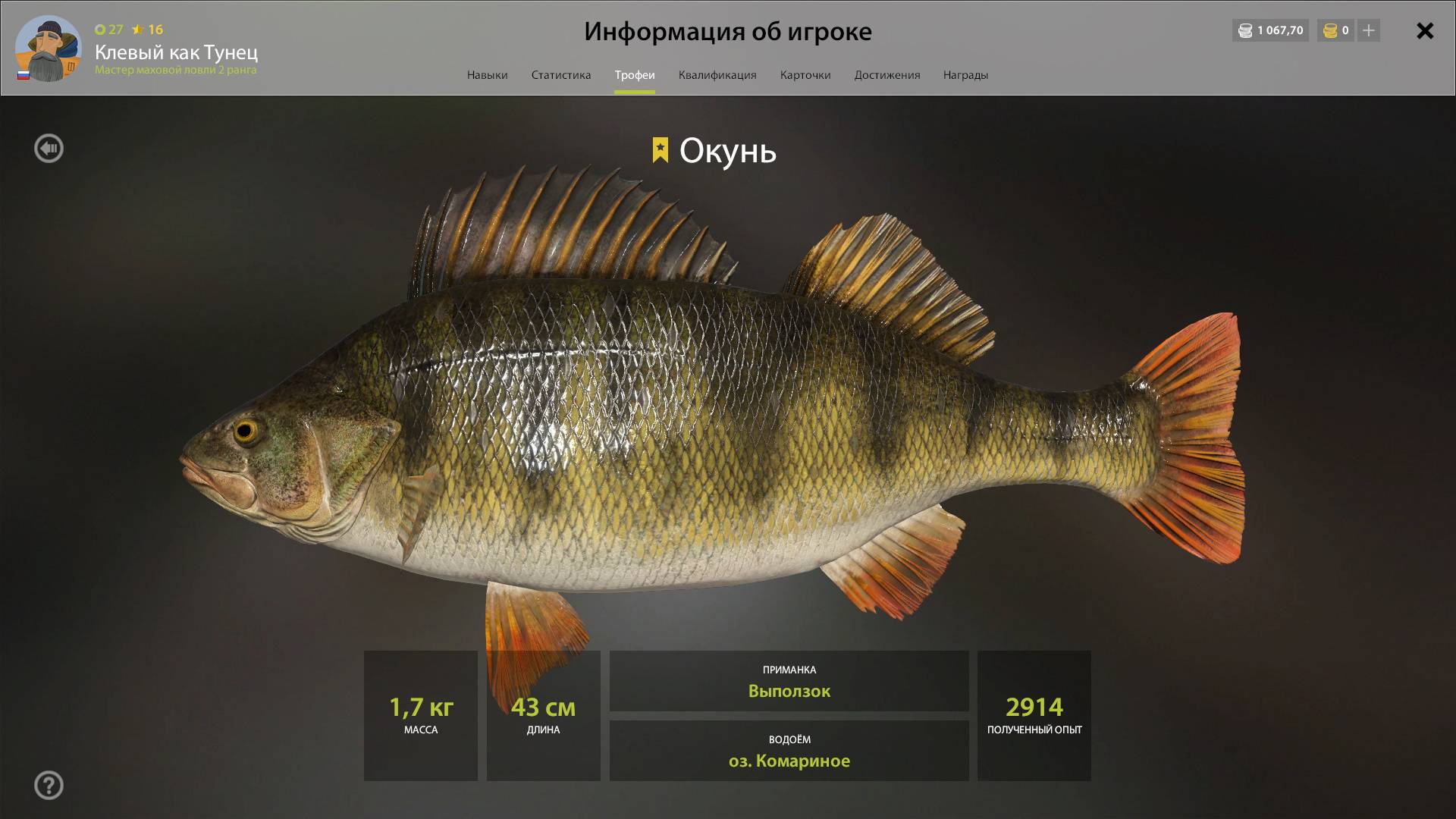 ТРОФЕЙ ОКУНЬ!!!ОЗЕРО КОМАРИНОЕ - РУССКАЯ РЫБАЛКА 4