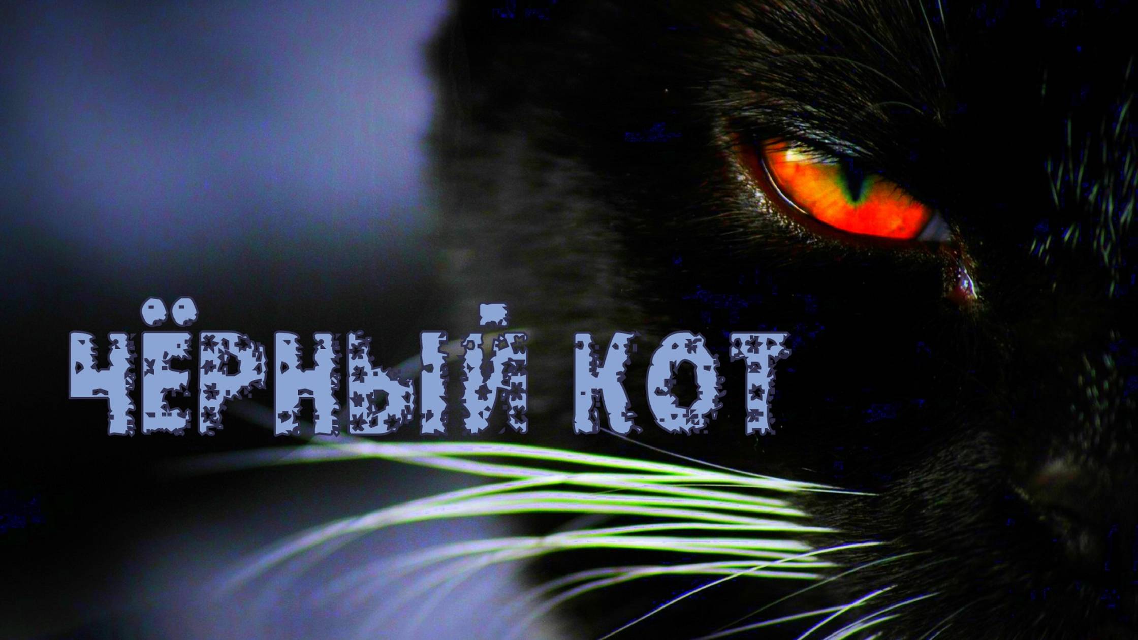 Чёрный кот