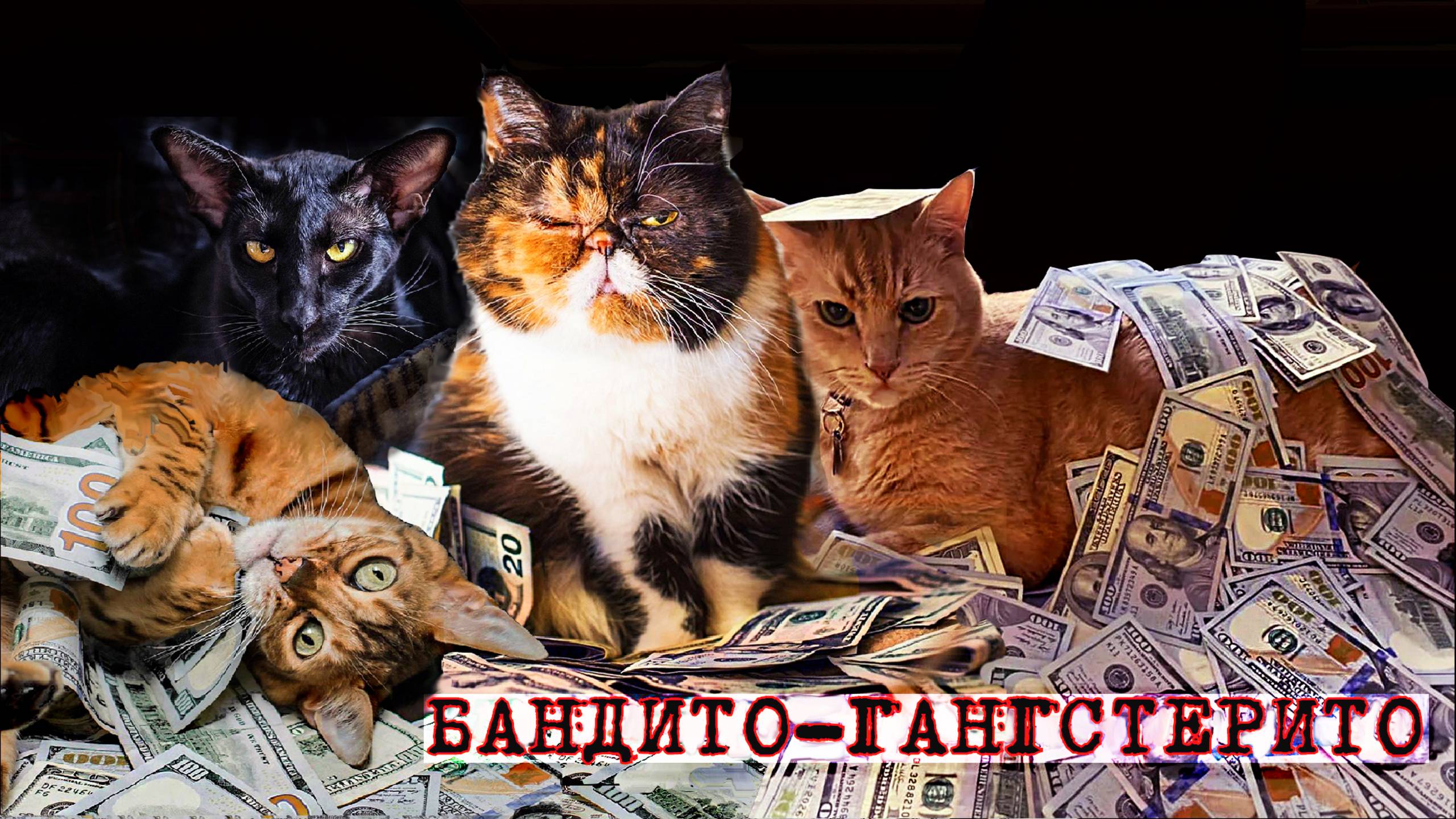 Гангста котики