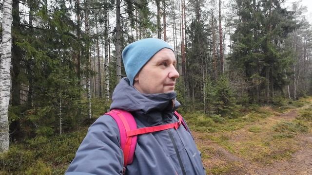 Лес 2025 11 02.mp4