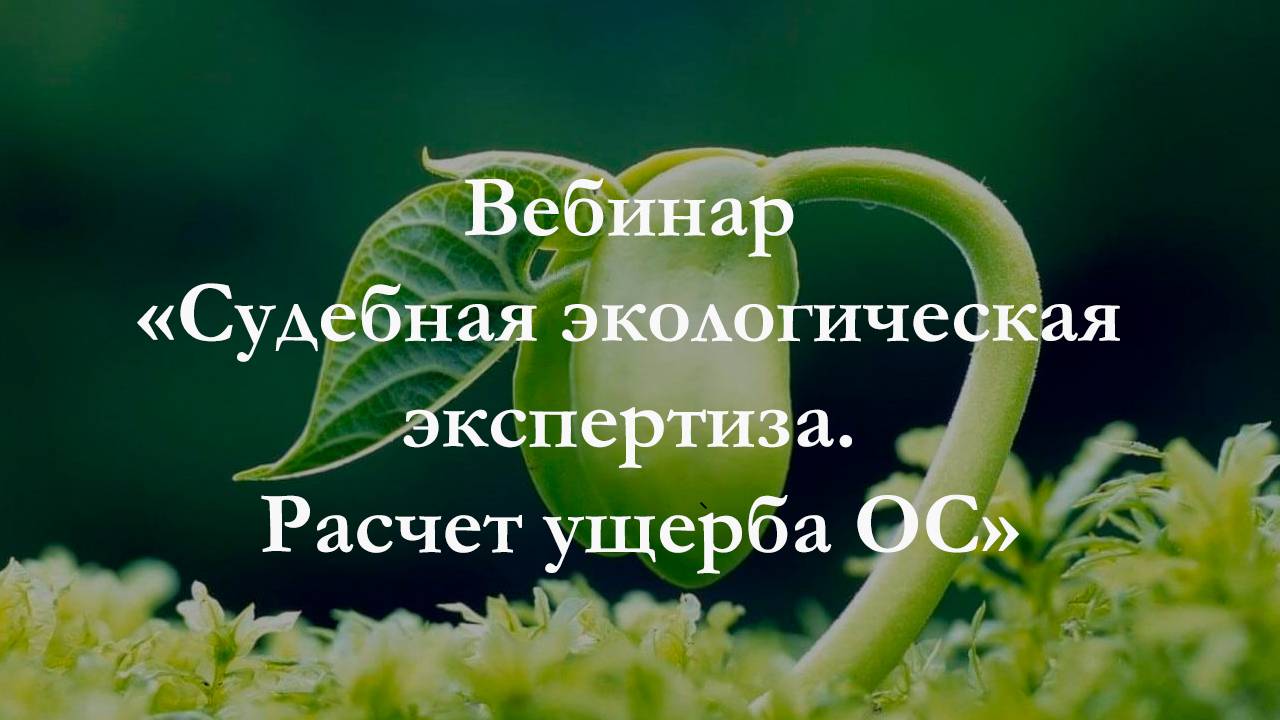 Вебинар "Судебная экологическая экспертиза. Расчет ущерба, причиненного окружающей среде"