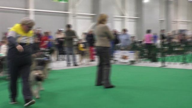 Сравнение на ЛС