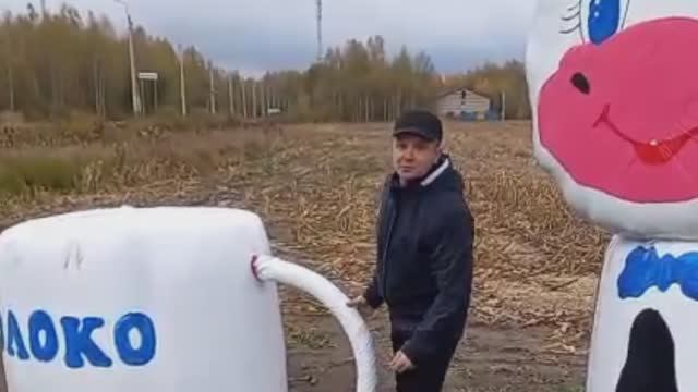 Поле. Русский сыр.