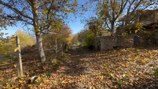 Обзор земельного участка в эко селе Мраморное. Свет заведен,  15 квт, ЛЕС в шаговой доступности