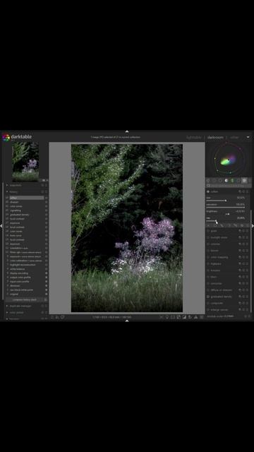 Софтэффект - "Шиповник" 18 постобработка фото