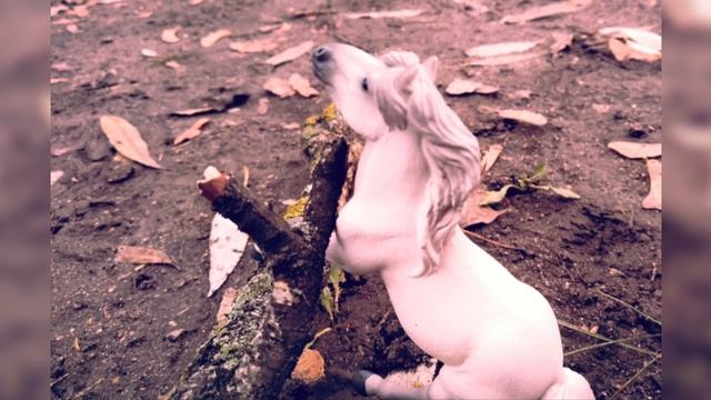 фотосет Ро́кота и Урана