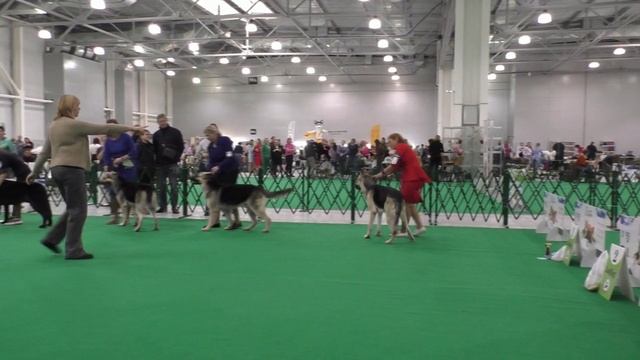 Расстановка класса юниоров