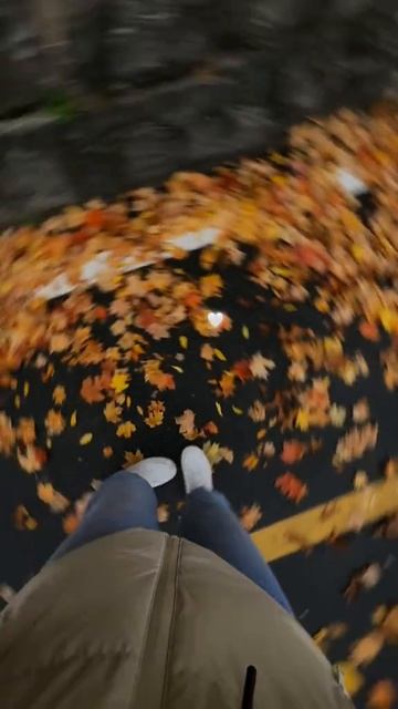 Дождь в ноябре 🍂