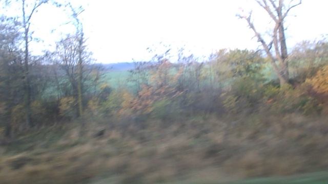 DSCN8412Осенний Архыз,канатка,ферма Альпаки ноябрь 2025