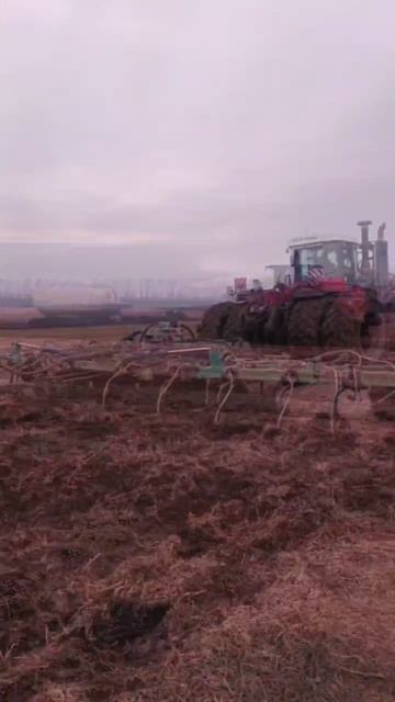 Безводный аммиак. Вносим в ноябре. А что - ноябрь выдался в этом году теплым)