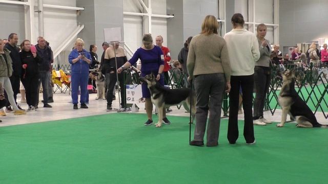 Калужский Витязь Нарния