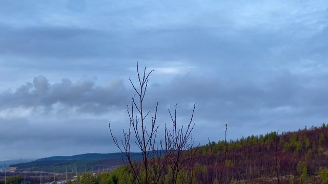 Нетипичный ноябрь | Мурманск 2025