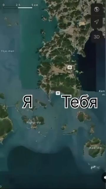 я тебя люблю