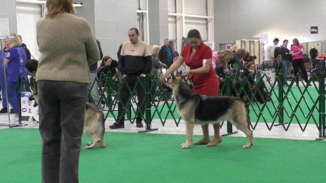 Сравнение-расстановка класса ветеранов