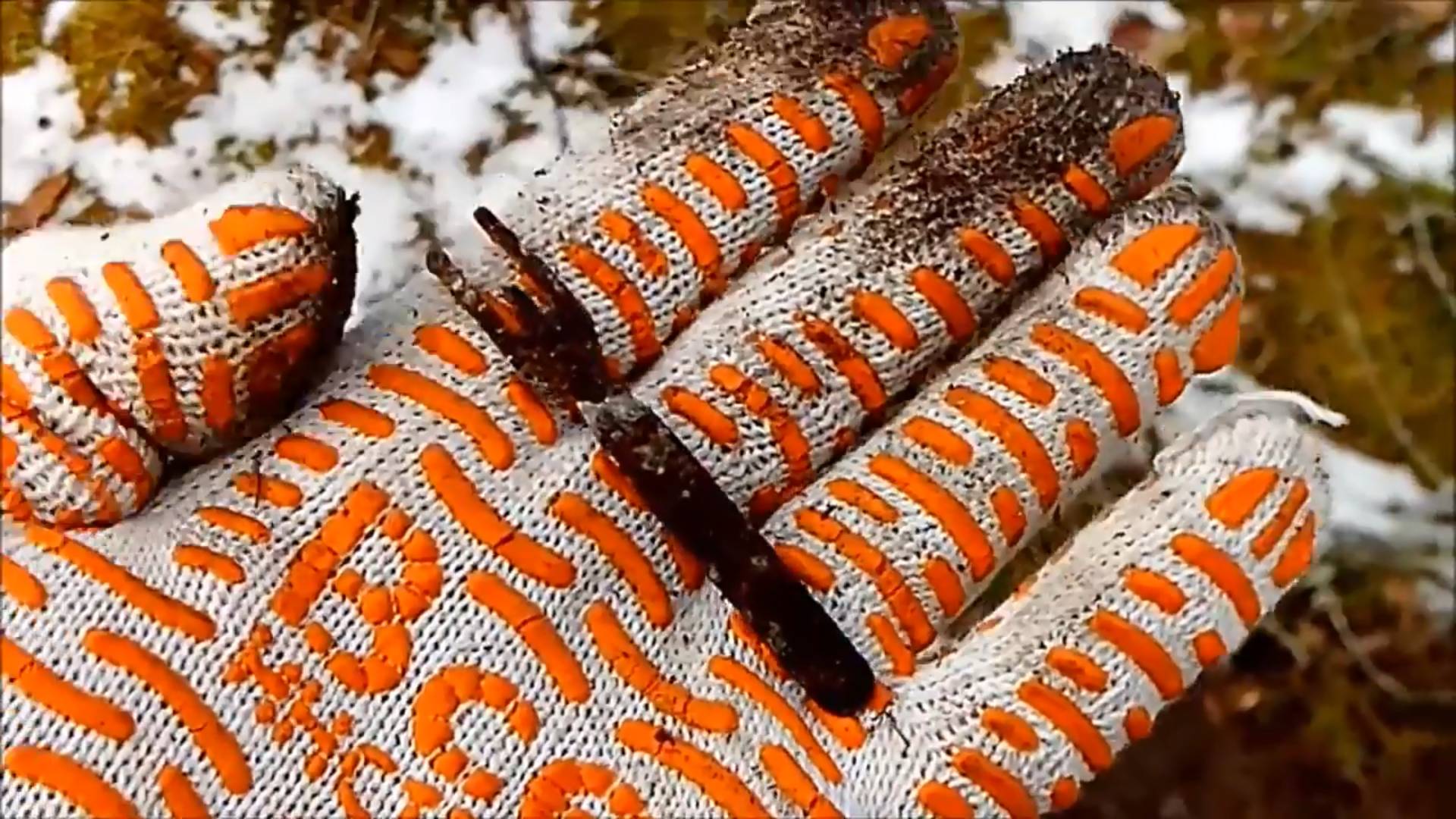 АРХИВ. Шмурдокоп, или день шмурдиолога.