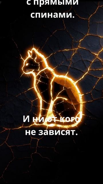 Каменные кошки 3