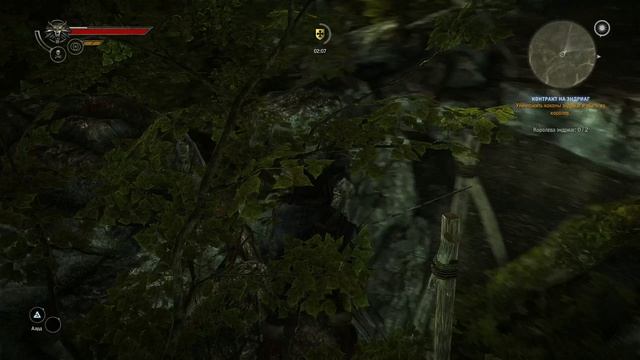 The Witcher 2 - Assassins of Kings Enhanced Edition. Часть 10. Королевы эндриаг и немного накеров.