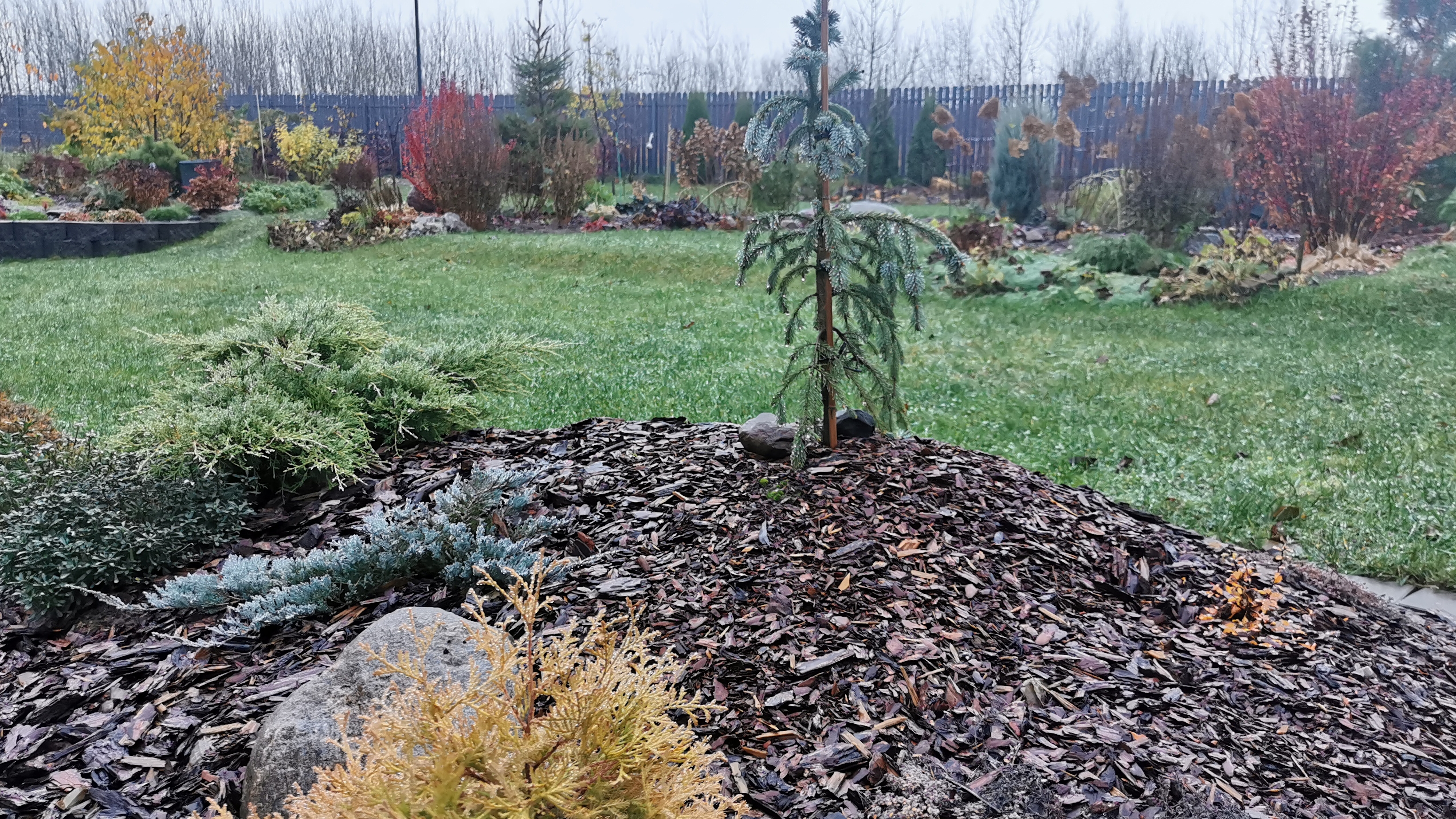 Позднеосенние работы в саду на востоке Ленинградской обл. 06.11.2025