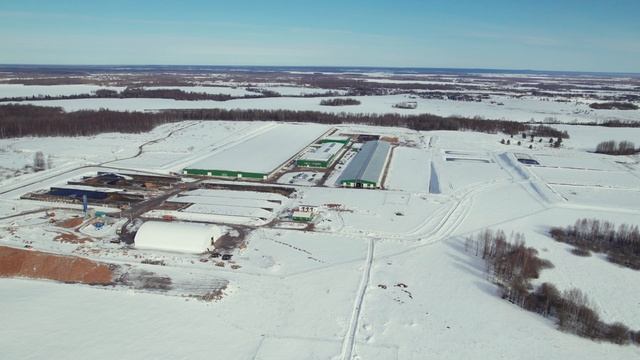 Аутсорсинг воспроизводства стада 24/7 от компании "Коджент Рус"