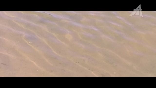 Важнейшее доказательство катастрофы XIX века и заселения Земли