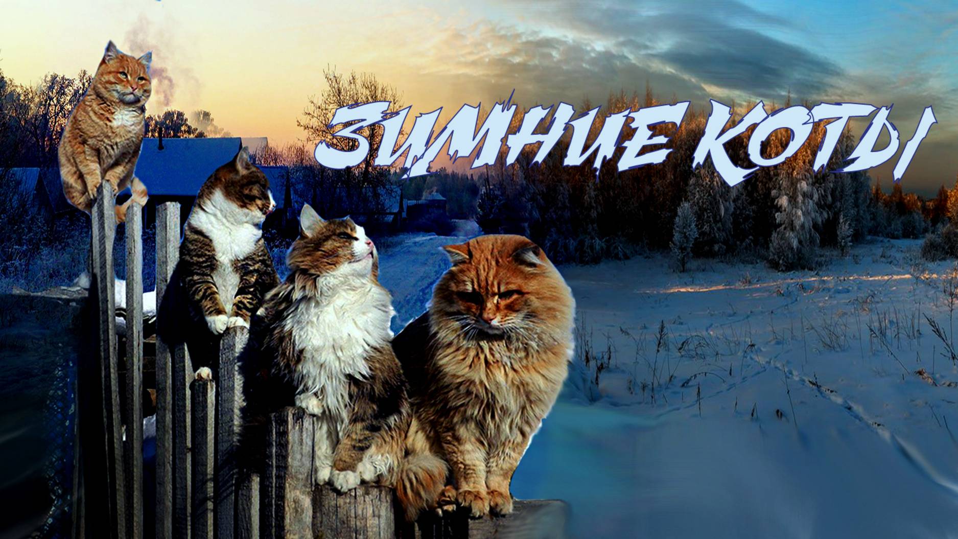 Зимние коты