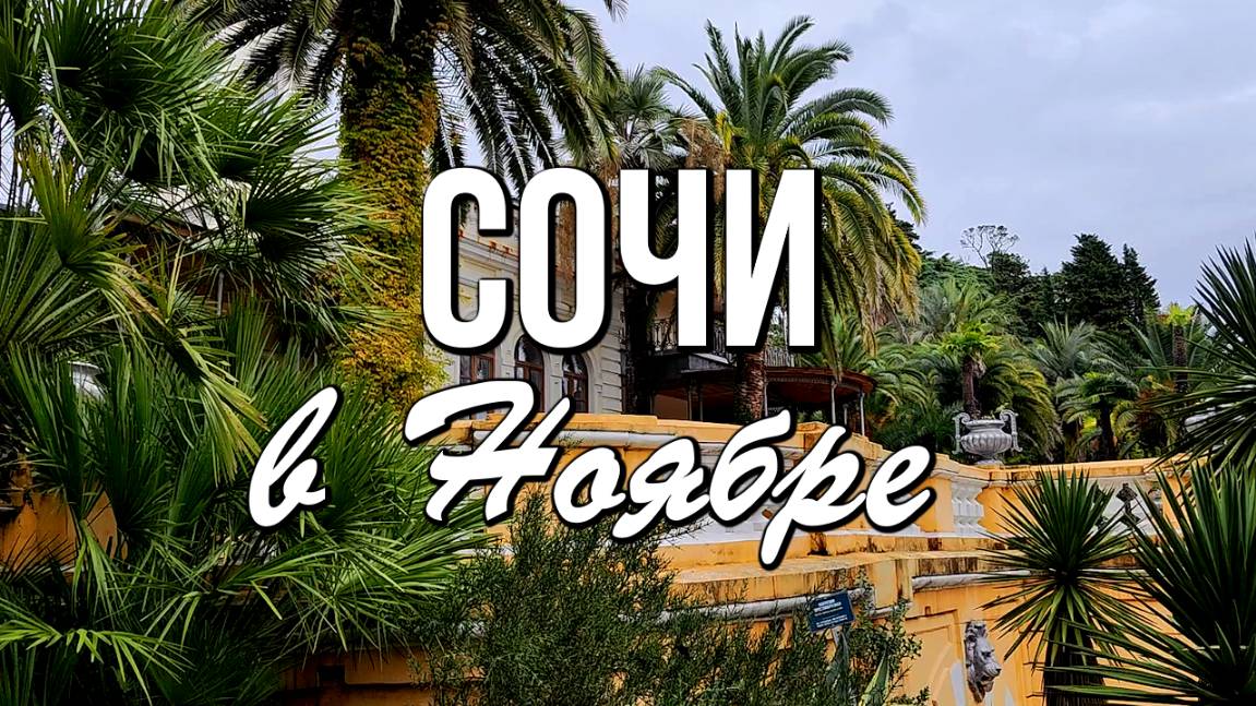 Отдых в Сочи в ноябре