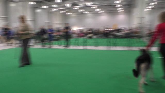 Класс открытый