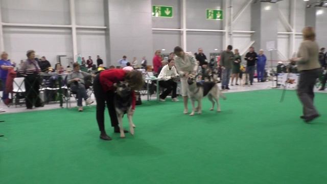 Сравнение-расстановка открытого класса