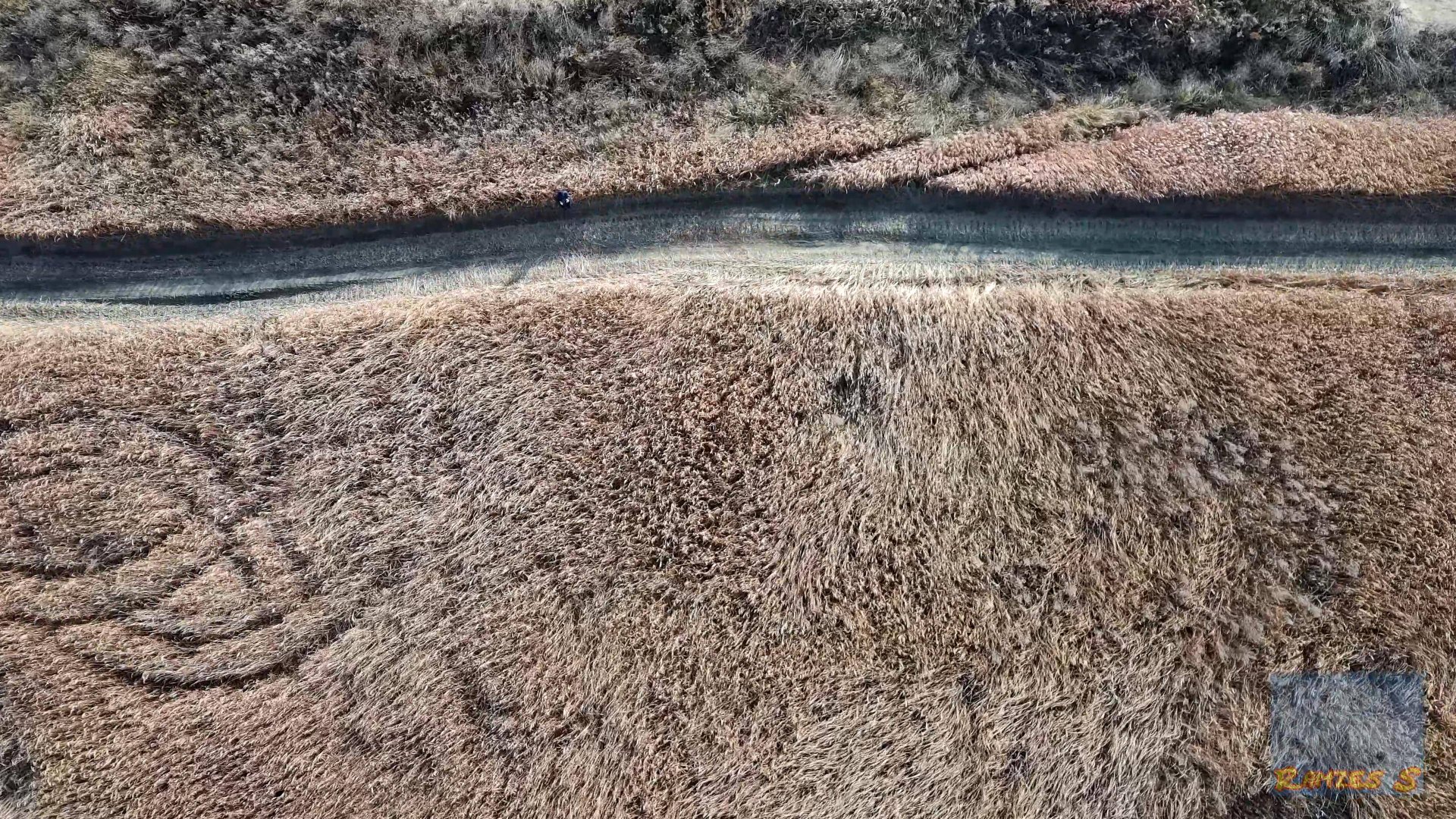 Осенний ковыль