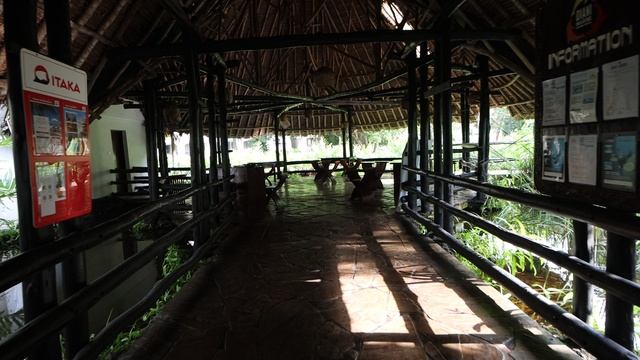 Отель Papillon Lagoon Reef в Кении – Рай на берегу океана 🌴