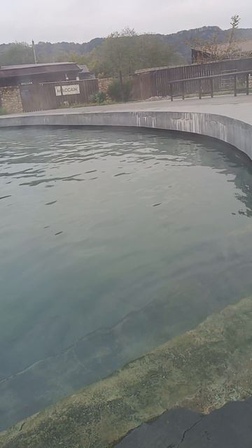 Термальные источники. Ганах. Осетия.