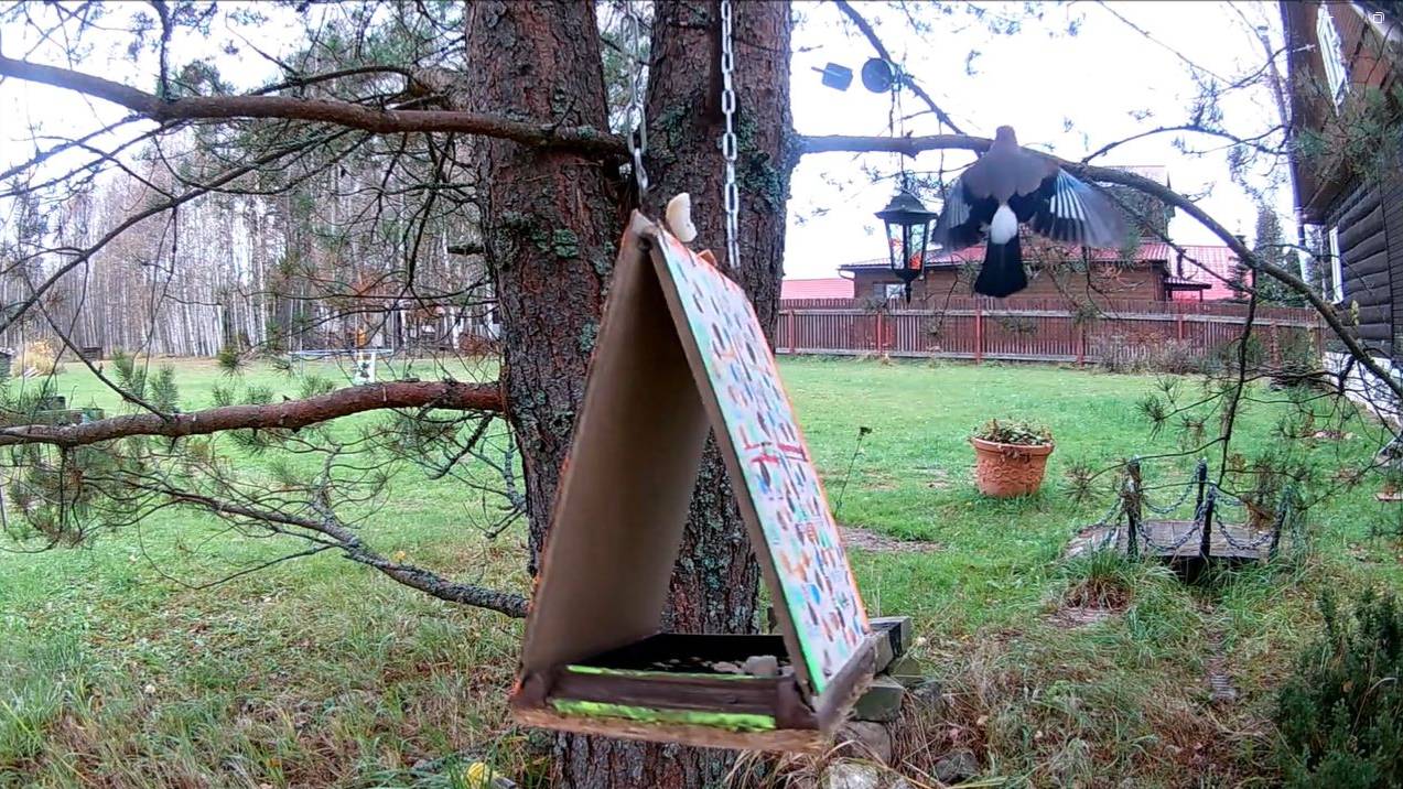 "Вигвам" Кормушка для птиц. Синица, Сойка, Воробей  23.10.25