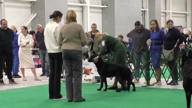 Омская Дружина Эра Водолея