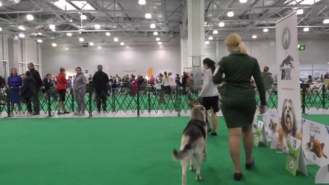 Сравнение-расстановка класса чемпионов