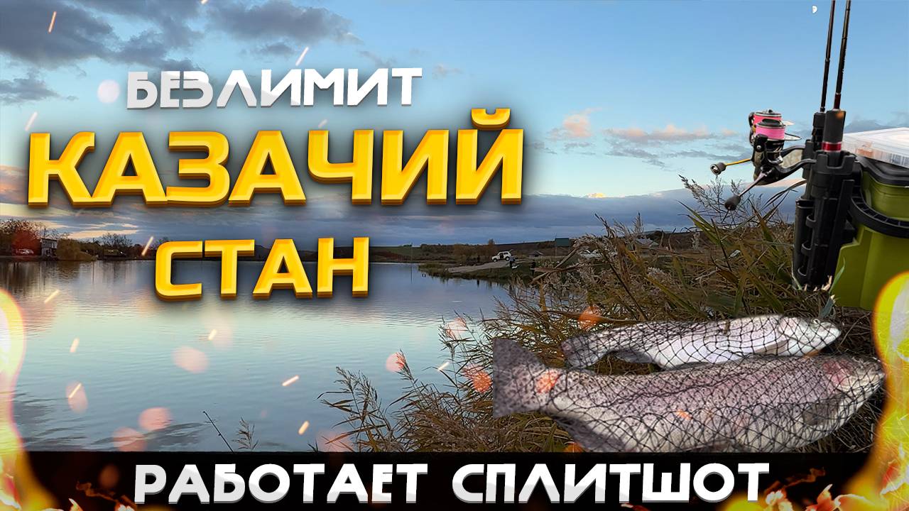 ЛОВЛЯ ФОРЕЛИ! Безлимит "Казачий стан"! Ловлю форель, на шнур без крючка!