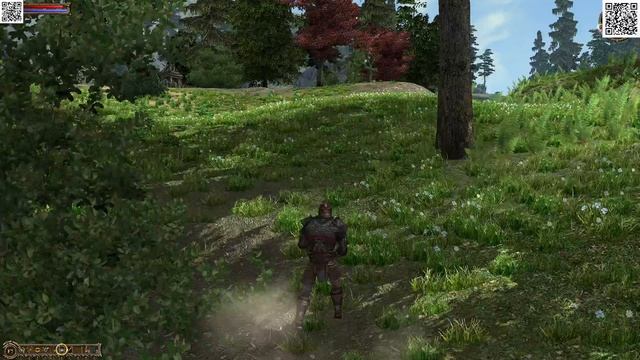 Two Worlds Epic Edition  стрим 5