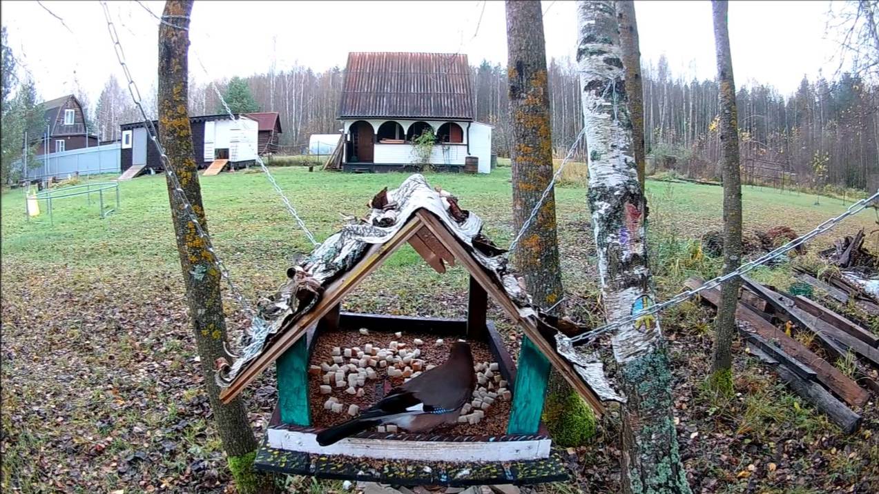 "Домик"  Кормушка для птиц. Синица, Воробей, Сойка  27.10.25