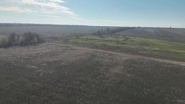 Поле с оптикой