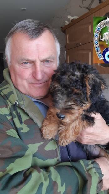 С Вельш терьерами по жизни-Ярославль, Л.Васюра