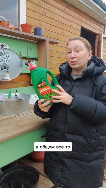 Уход за хвойными перед зимой #хвойные #туи