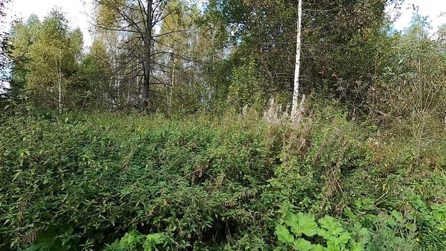 Копаю по полям, ругаюсь, переезжаю с места на место!